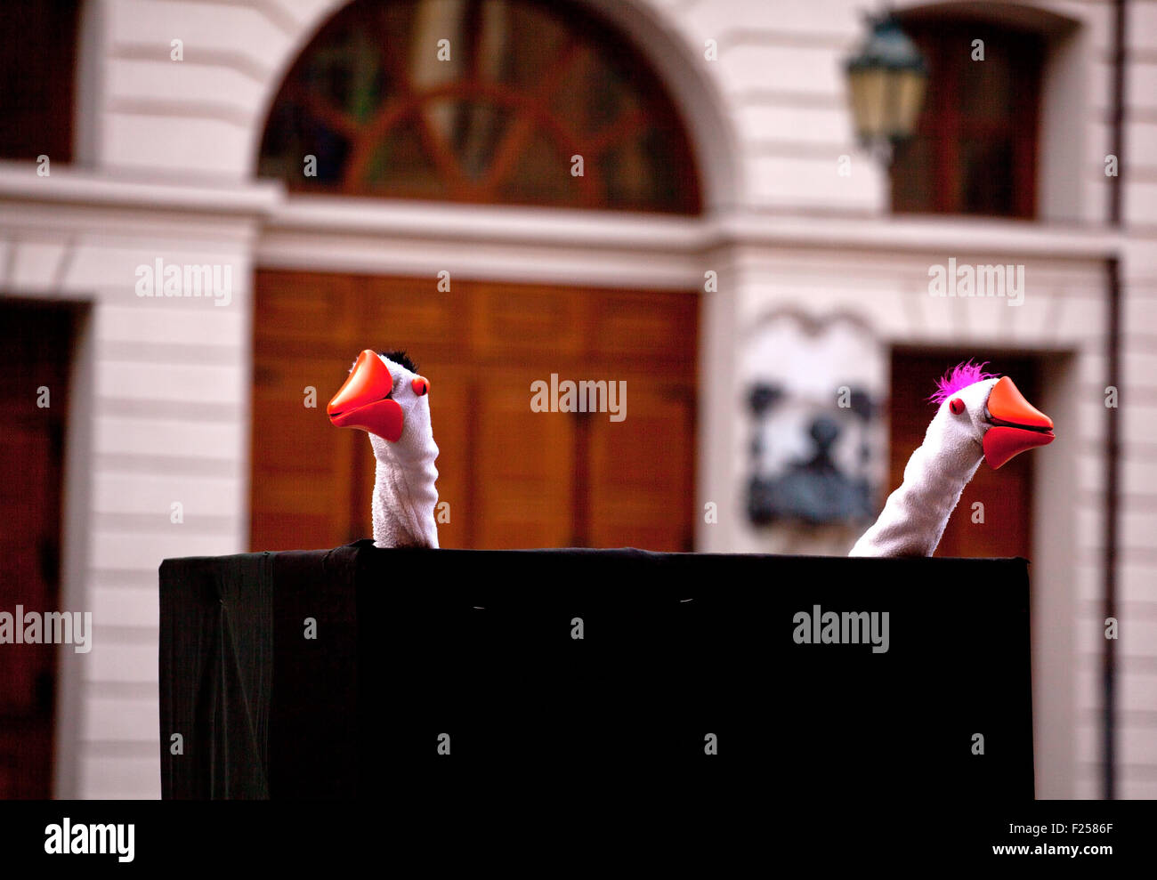 Photo of a Show with the geese puppets Stock Photo - Alamy