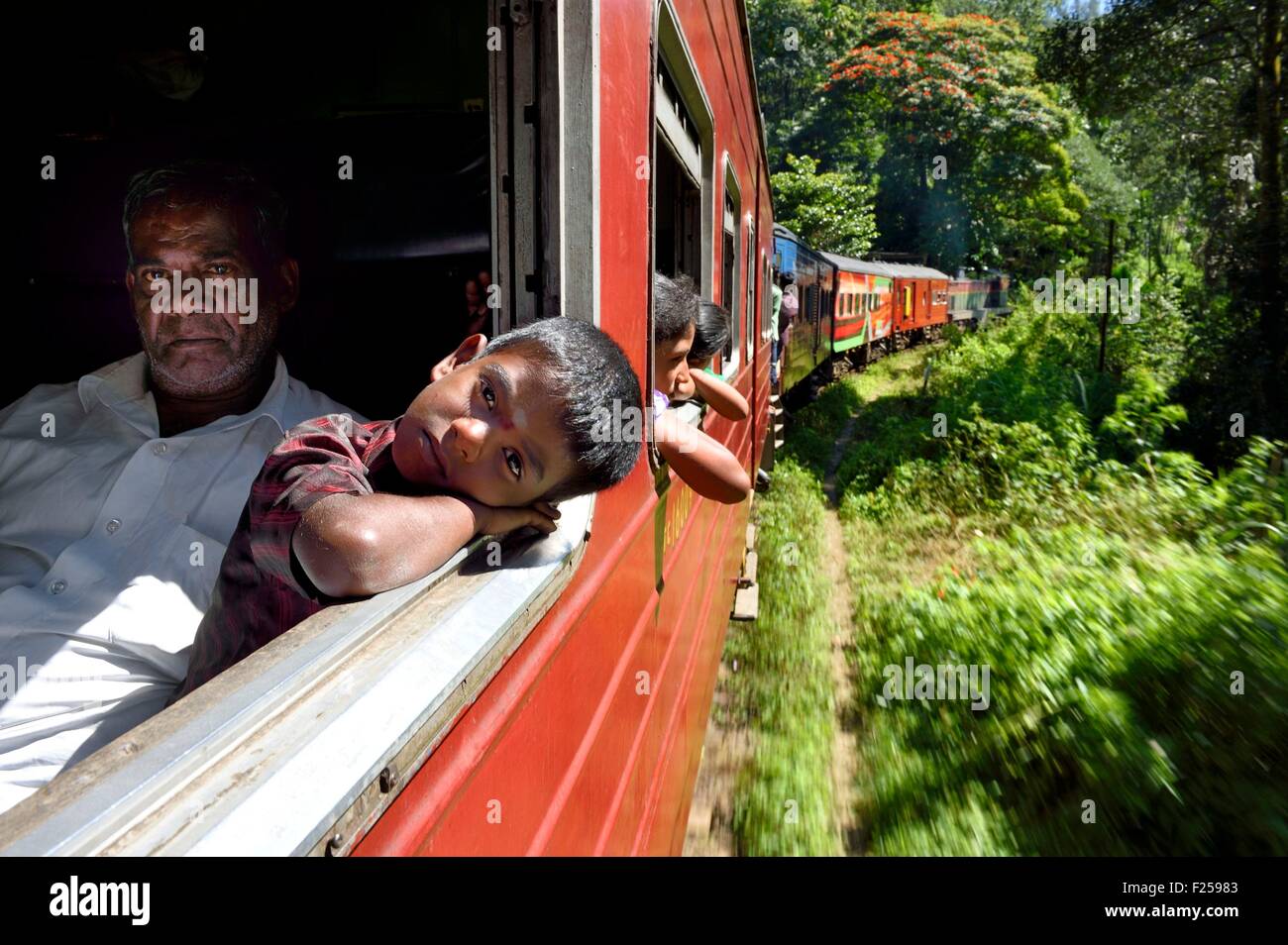 Sri Lanka, Uva Province, the popular scenic train ride through the tea ...