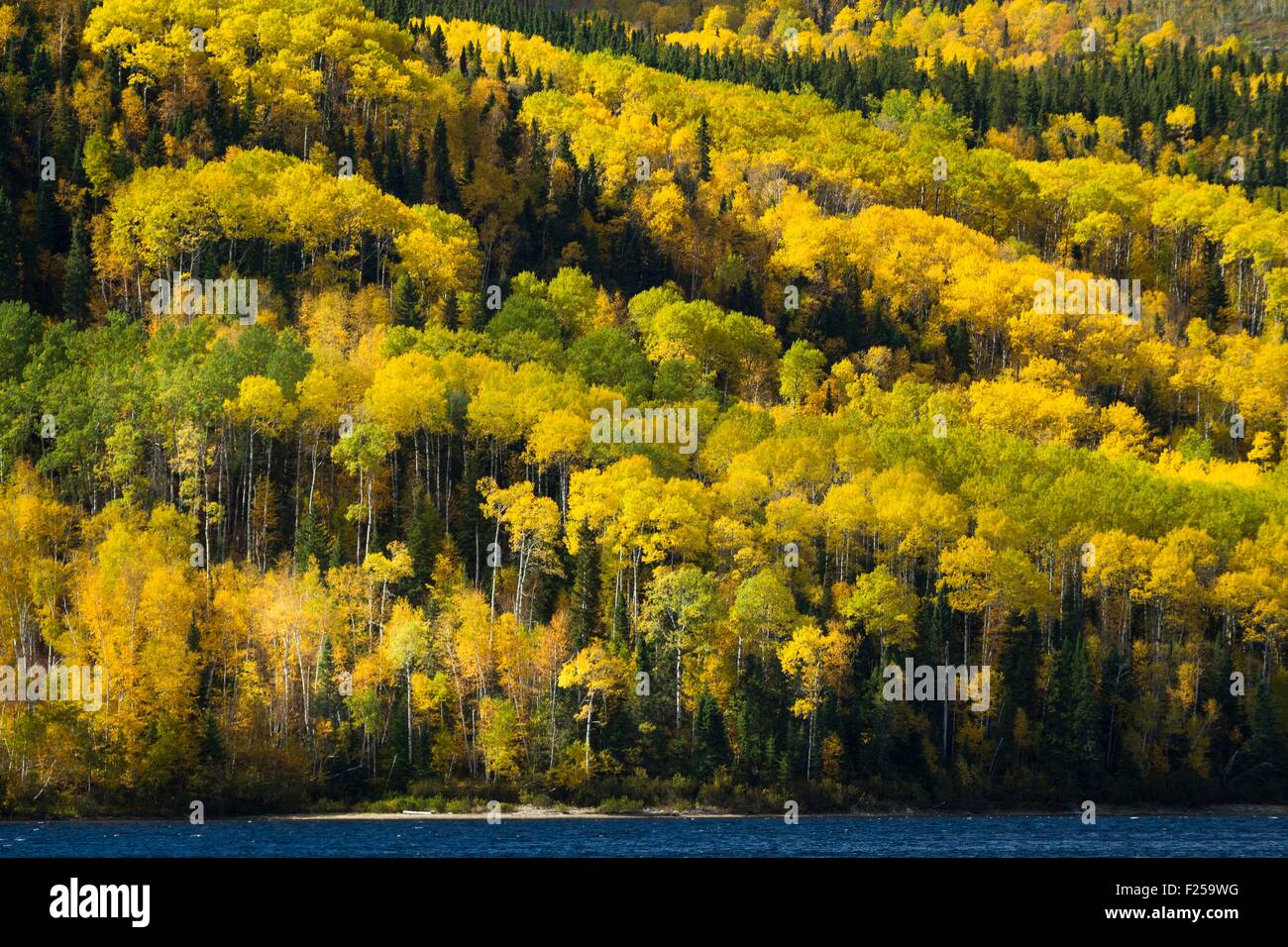 Lac saint jean hi-res stock photography and images - Alamy
