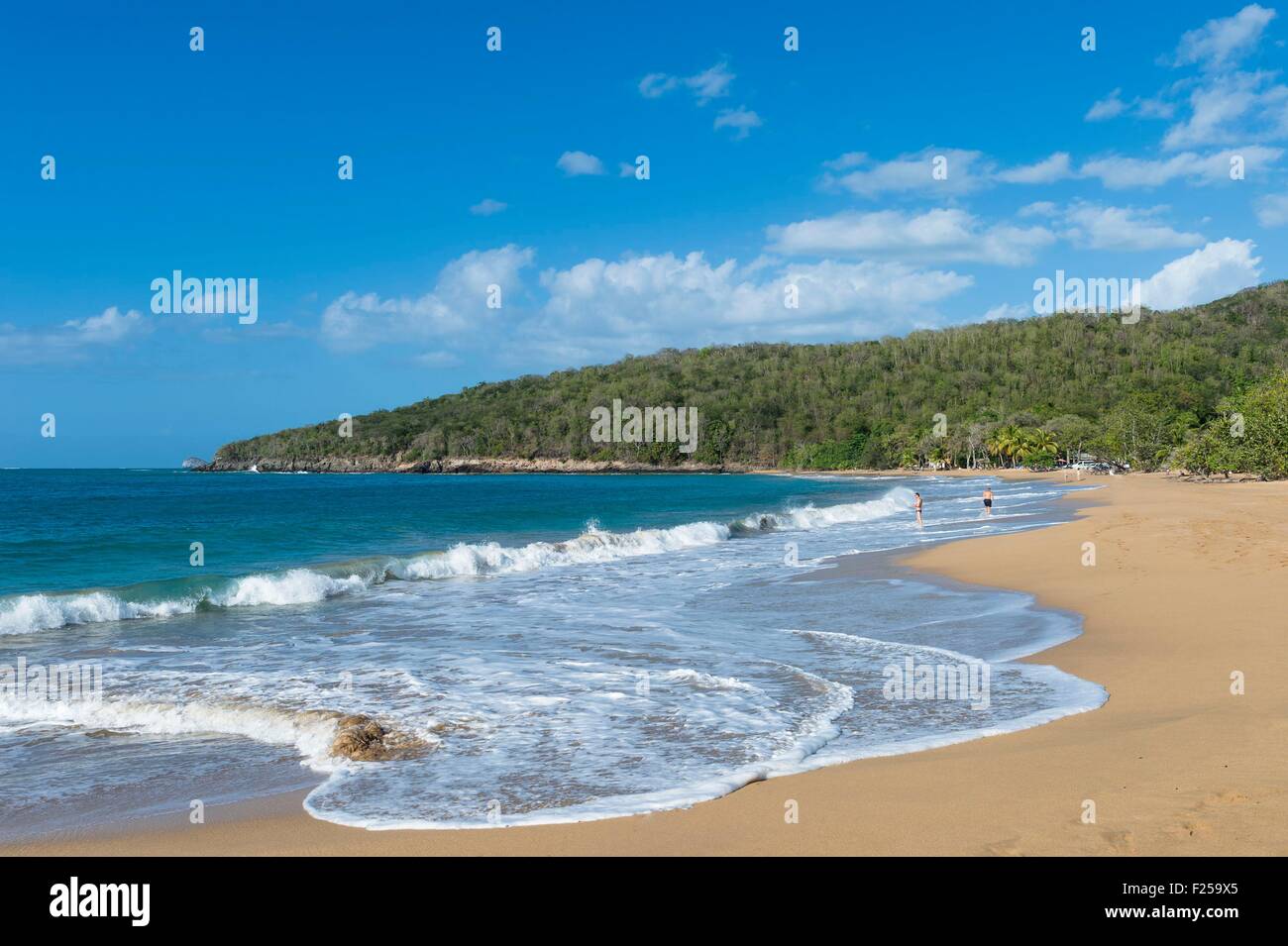 France, Guadeloupe (French West Indies), Basse Terre, Deshaies, Anse de ...