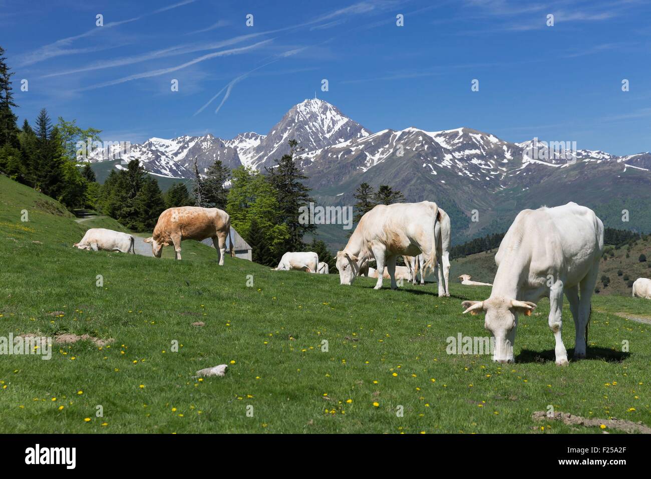 France, Hautes Pyrenees, Aspin pass and pic du Midi de Bigorre Stock ...