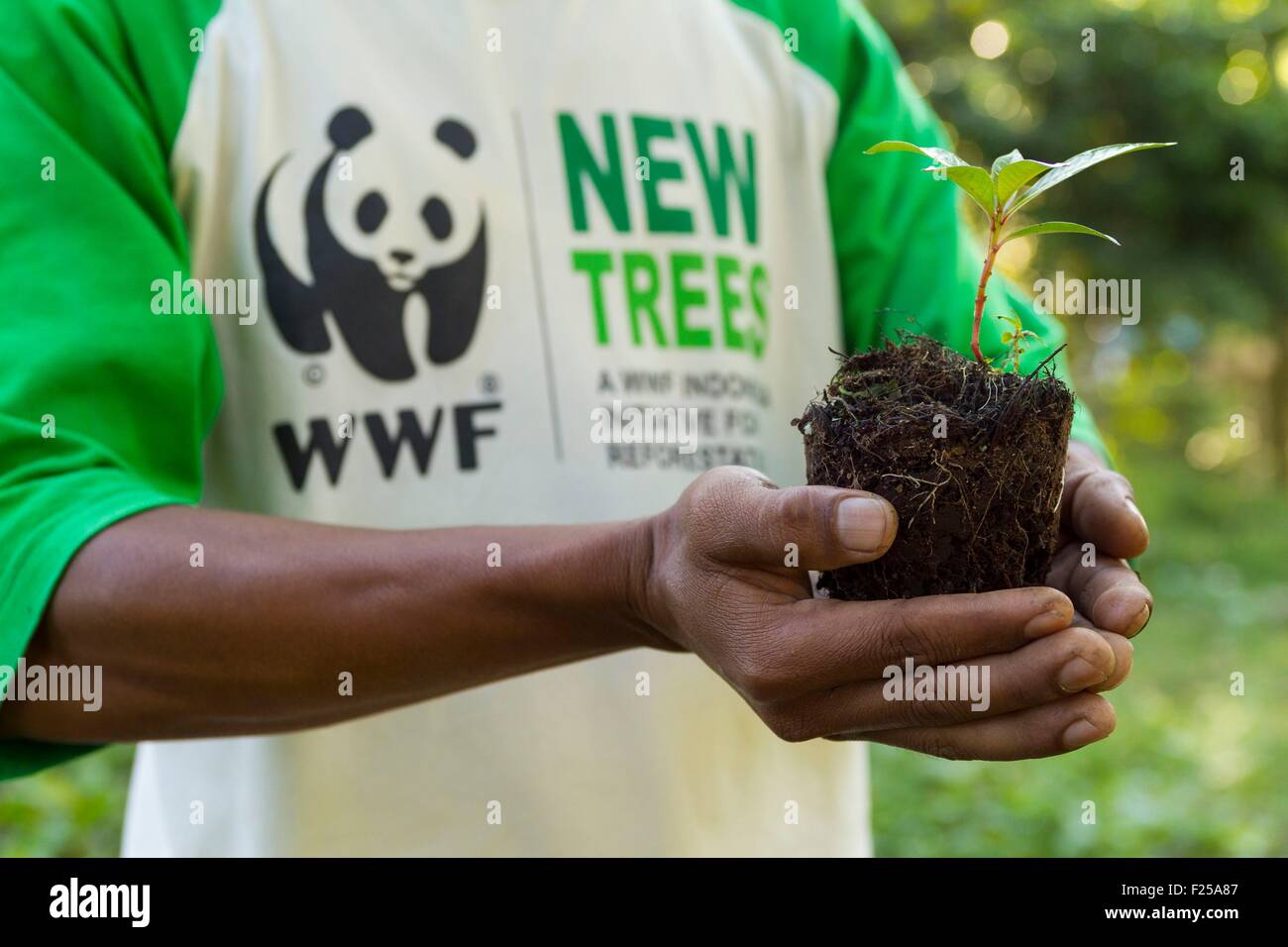 Indonesia, Sunda islands, Lombok, WWF New Trees Project, villager ...
