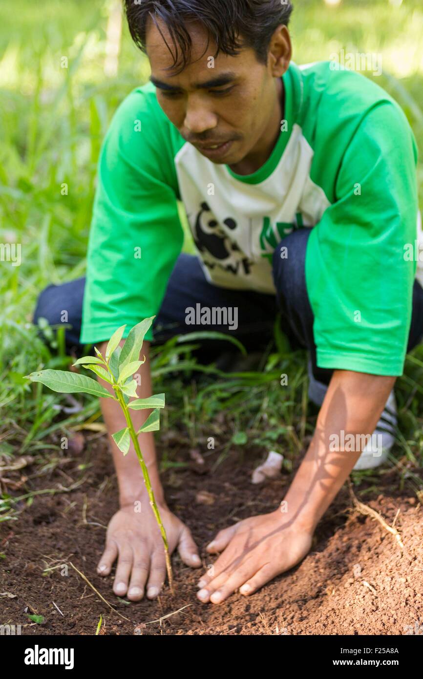 Indonesia, Sunda islands, Lombok, WWF New Trees Project, villager ...