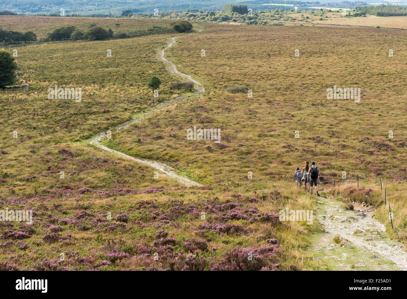 France, Finistere, Saint Rivoal, hiking on the Mont Saint Michel of ...