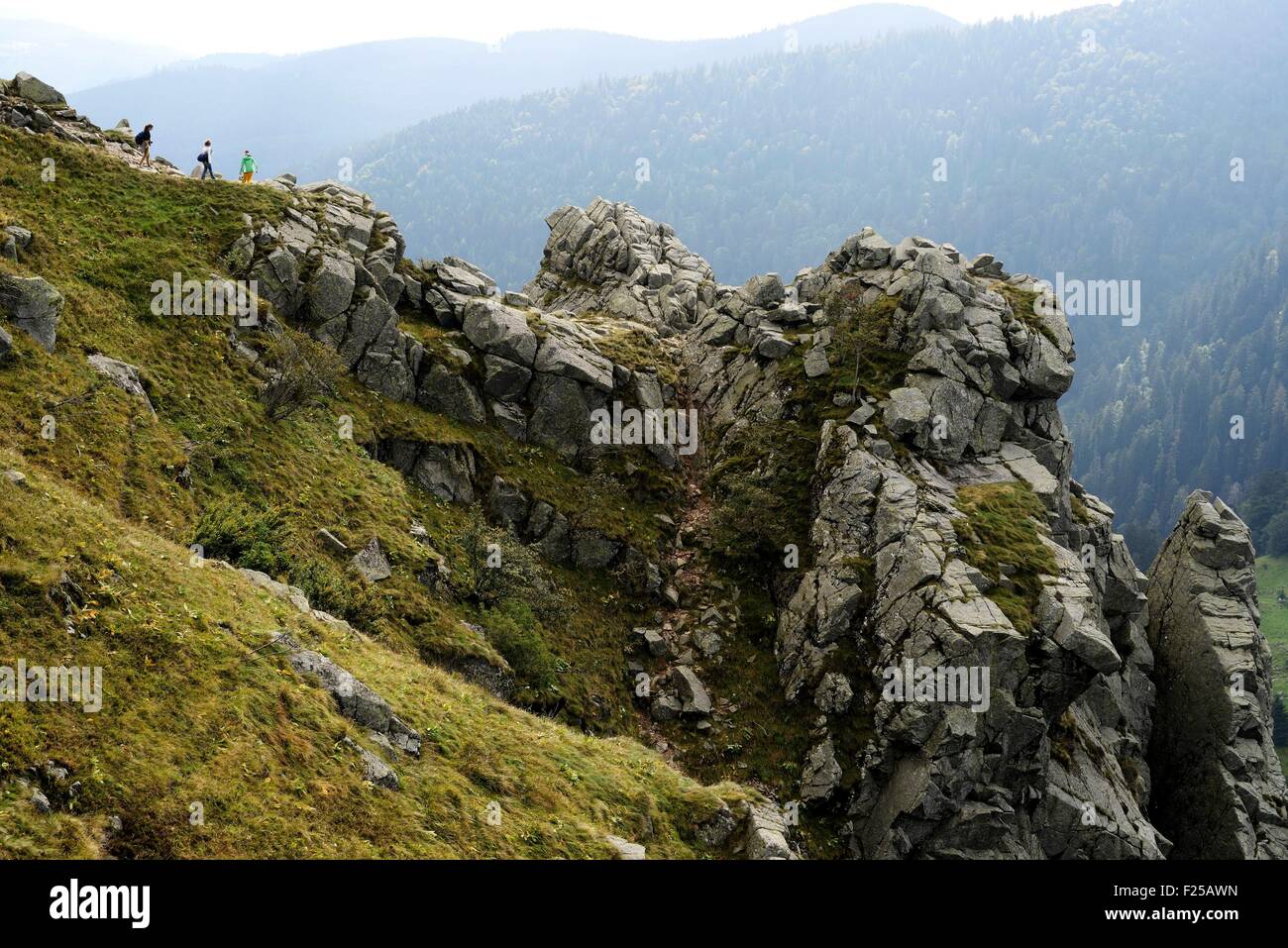 France, Haut Rhin, Hautes Vosges, Le Hohneck, Col de Falimont ...