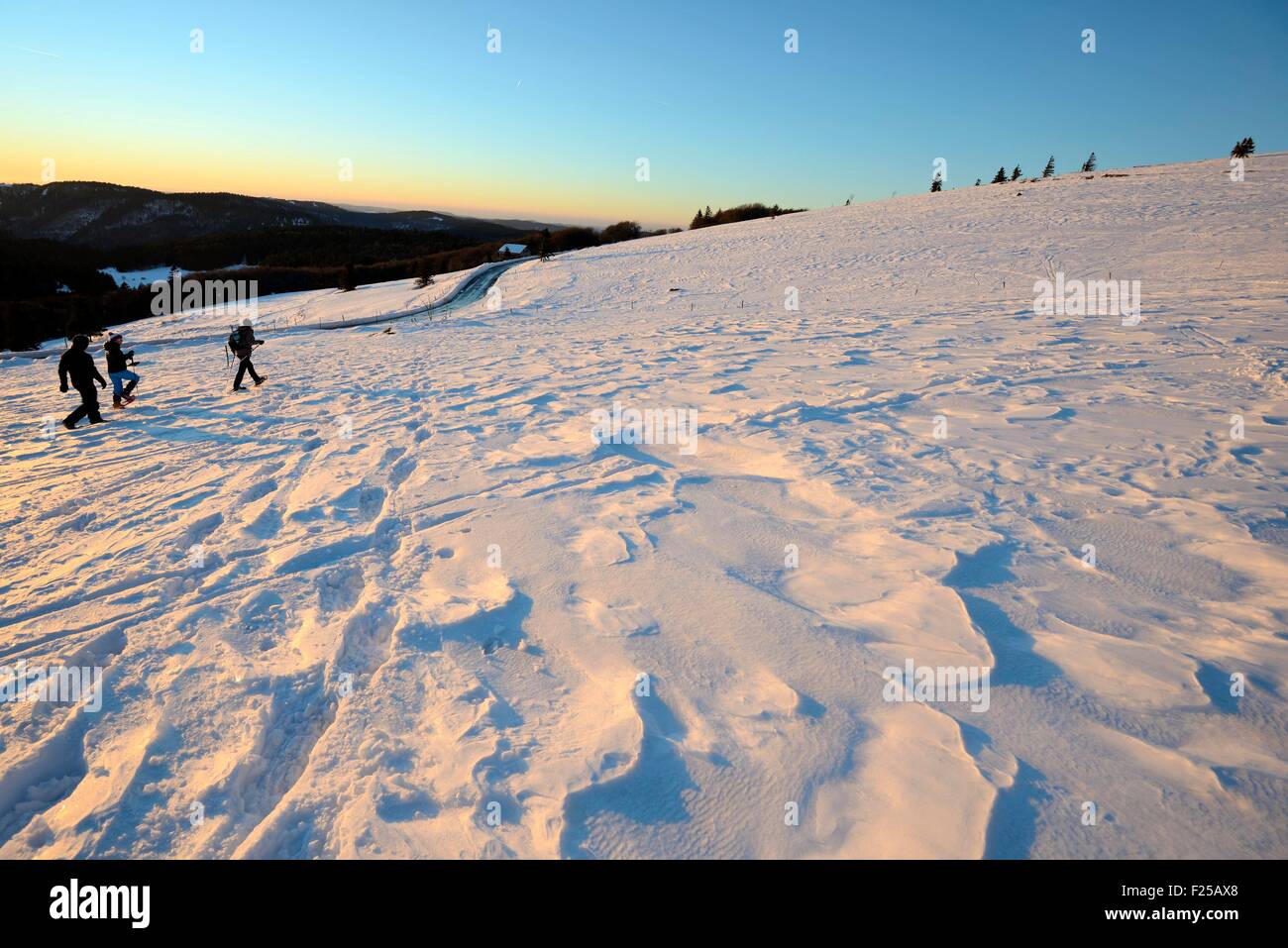 France, Haut Rhin, Hautes Vosges, Le Hohneck, snowshoe hikers, Route ...