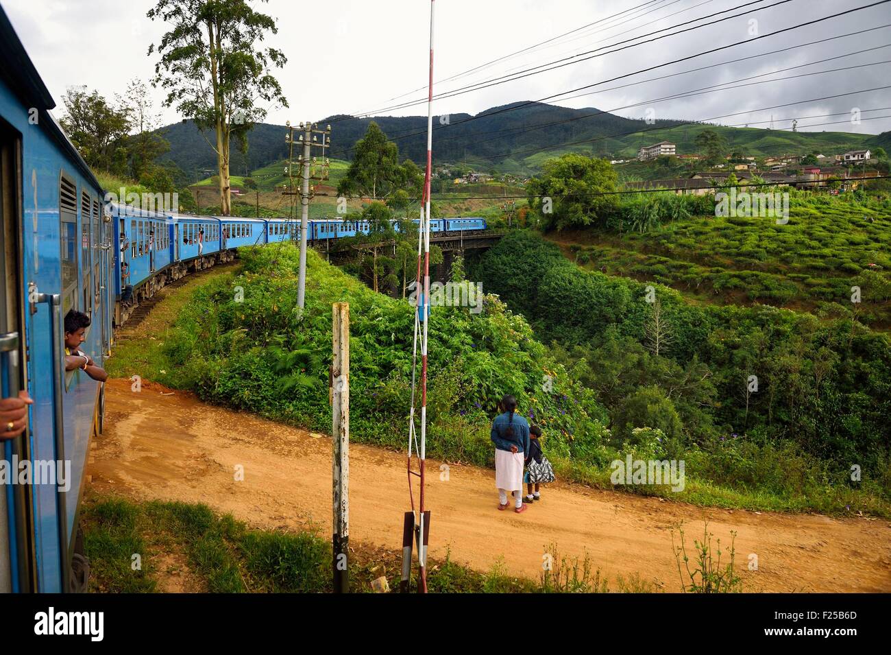 Sri Lanka, Central Province, the popular scenic train ride through the ...