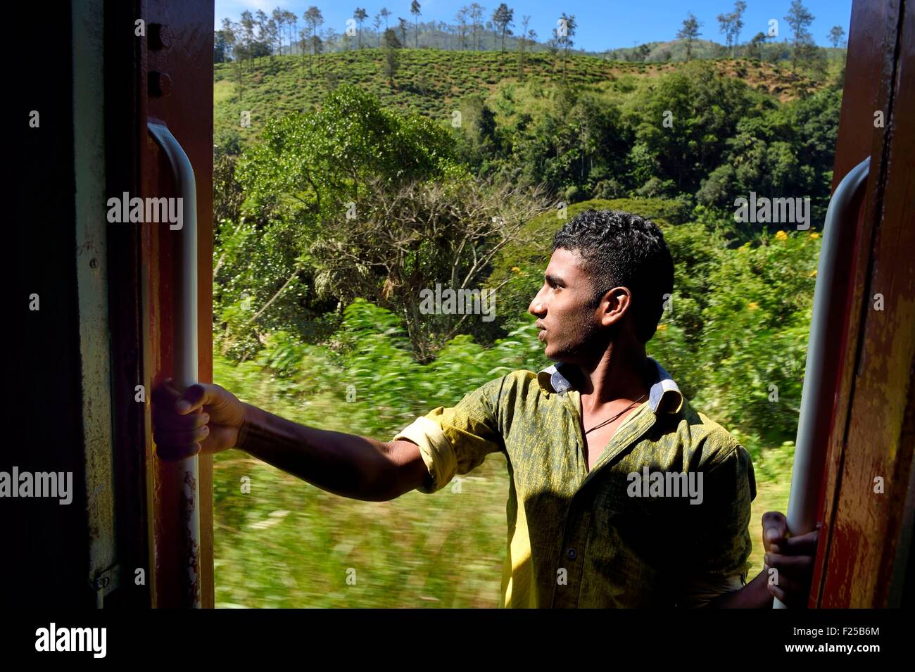 Sri Lanka, Uva Province, the popular scenic train ride through the tea ...