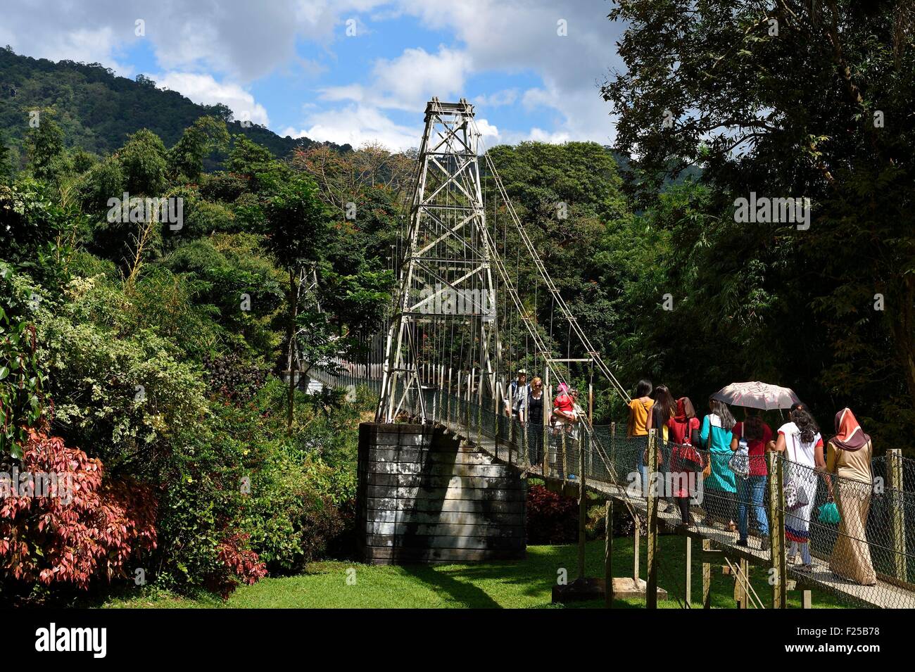 Sri Lanka, center province, Kandy, Peradeniya Botanical Garden, the ...