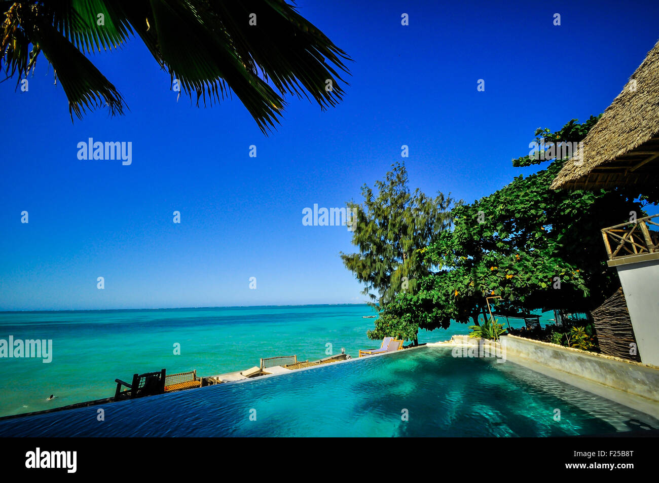Zanzibar beach and coral rocks bule green ozean Tanzania Stock Photo ...