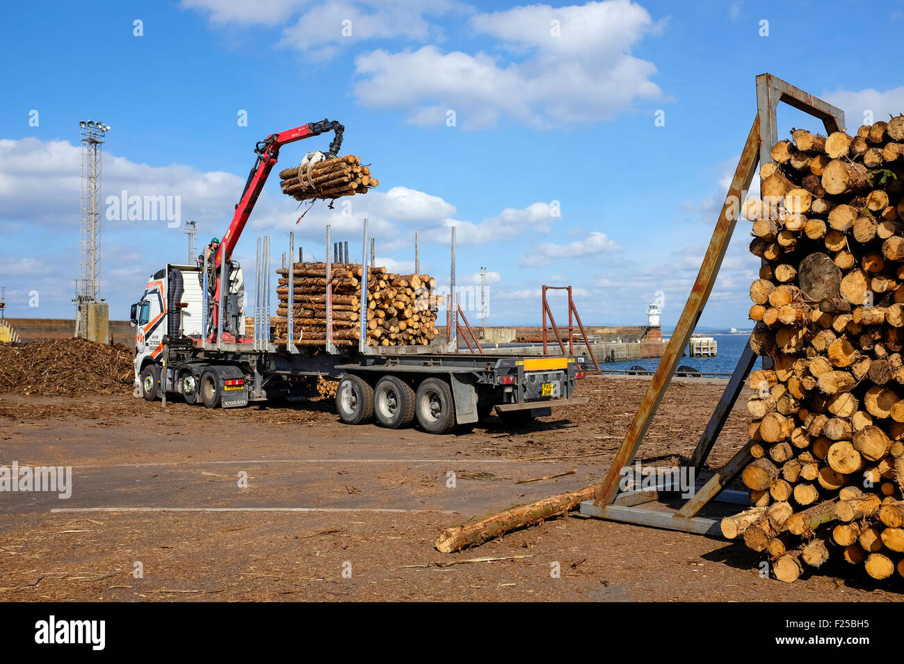 Worker load logs crane hi-res stock photography and images - Alamy