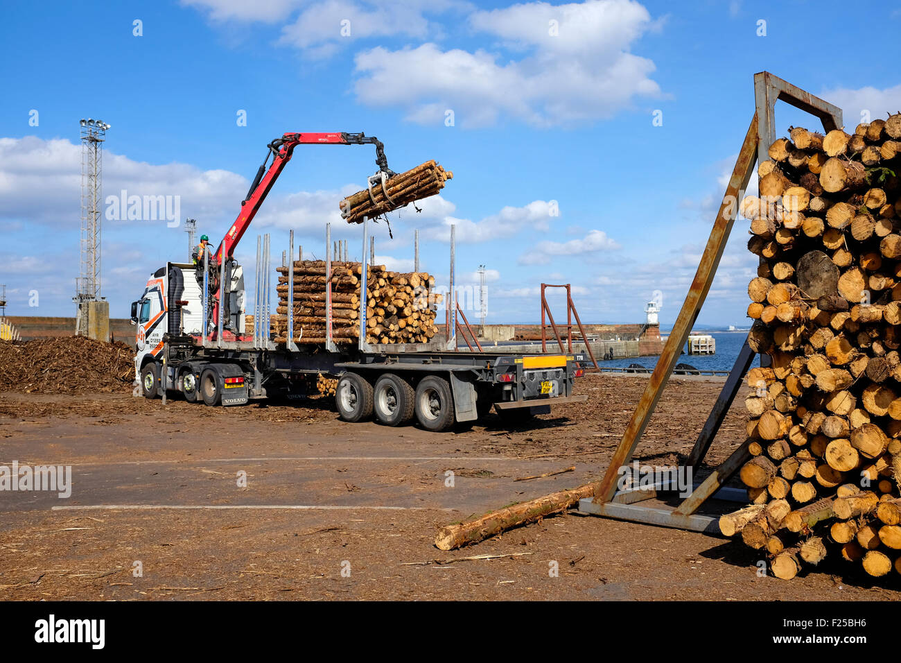 Cut timber logs being loaded onto a lorry trailer after importing at ...