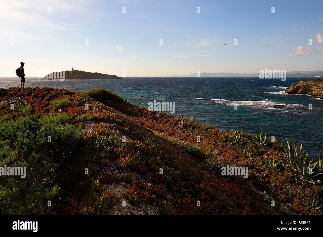 France, Var, Ile des Embiez, Gabrielle beach on the North Coast Stock ...