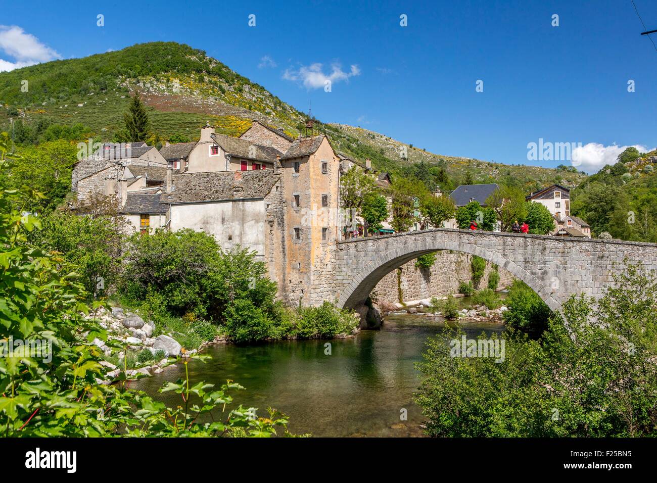 France, Lozere, the Causses and the Cevennes, Mediterranean agro ...
