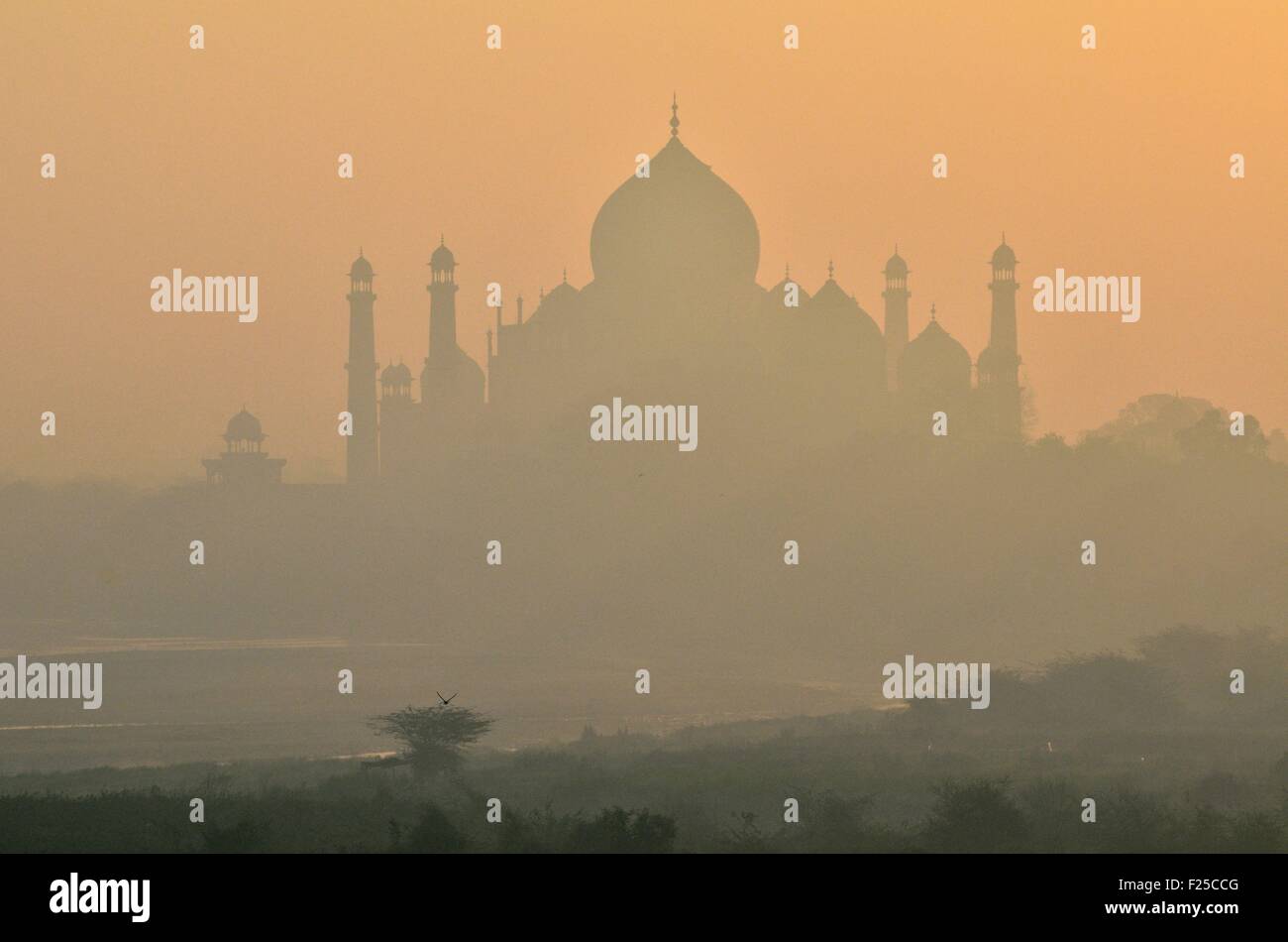 India, Uttar Pradesh State, Agra, the figure of the Taj Mahal, listed ...