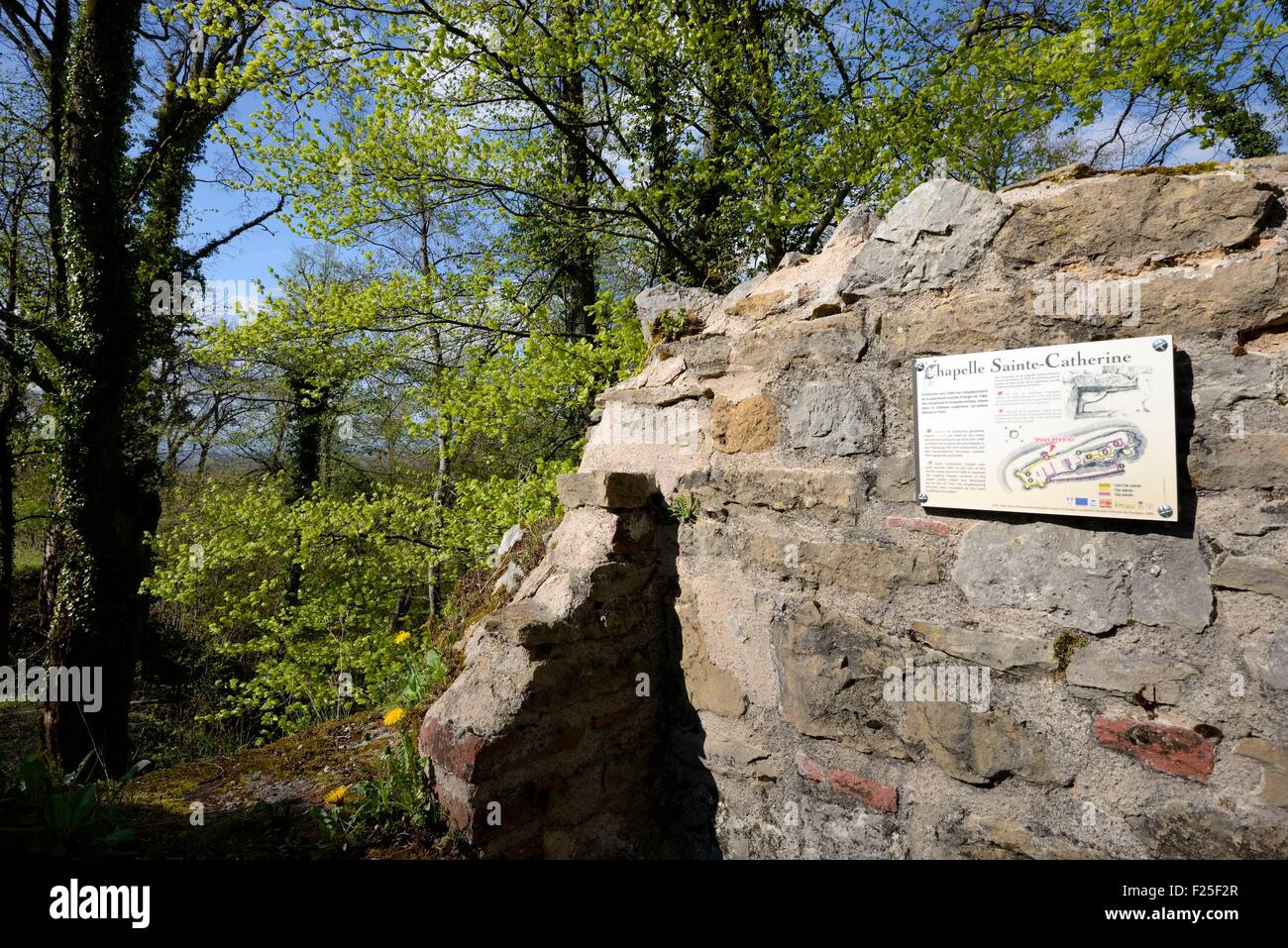 France, Haut Rhin, Ferrette, the castle ruins, Sainte Catherine chapel ...