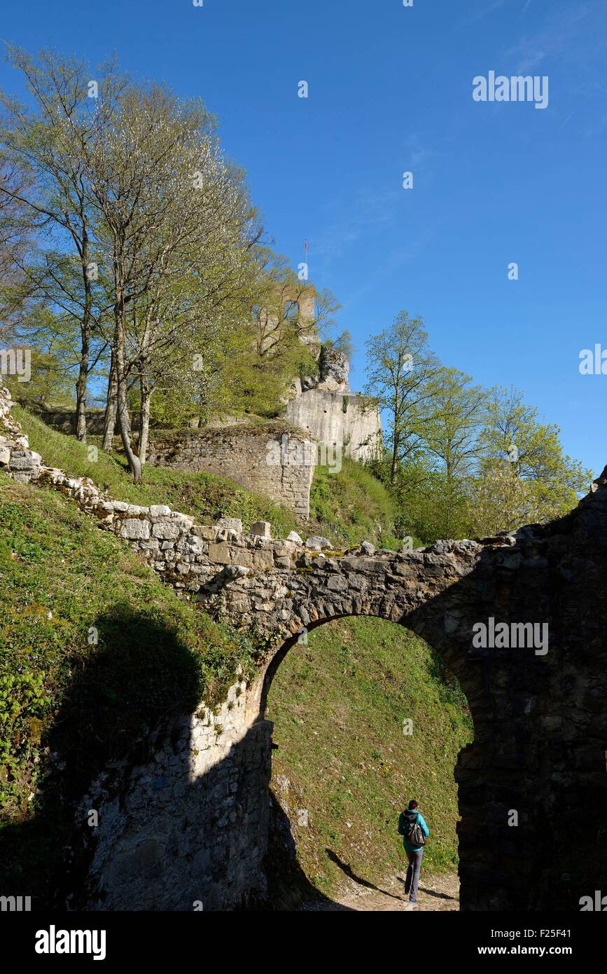France, Haut Rhin, Ferrette, the castle ruins dated 12th century ...