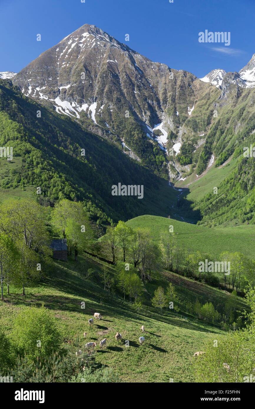 Azet hi-res stock photography and images - Alamy