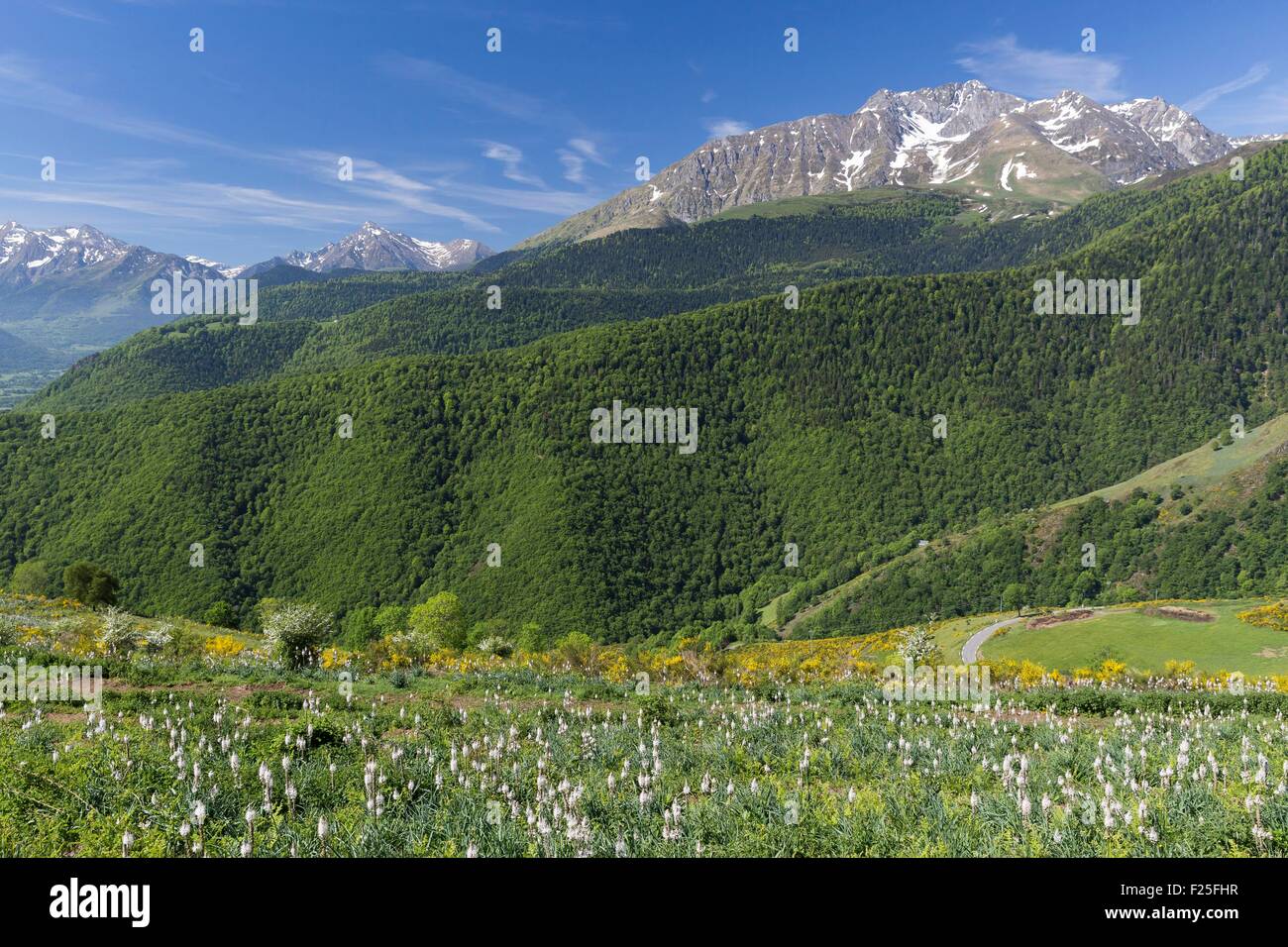 France, Hautes Pyrenees, Aspin pass, Aure valley Stock Photo - Alamy