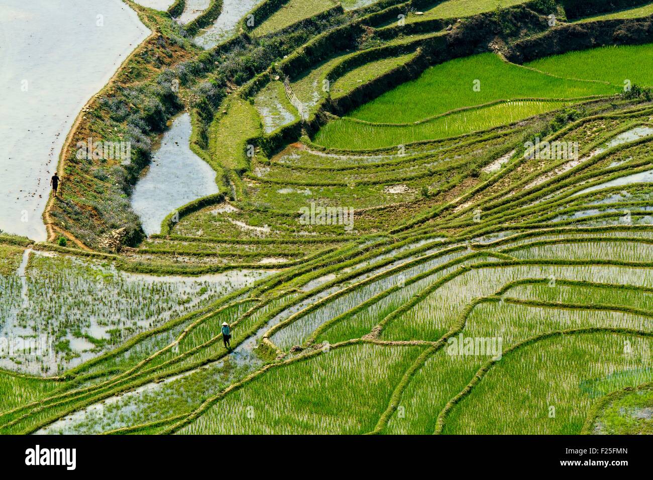 Cao pha hi-res stock photography and images - Alamy