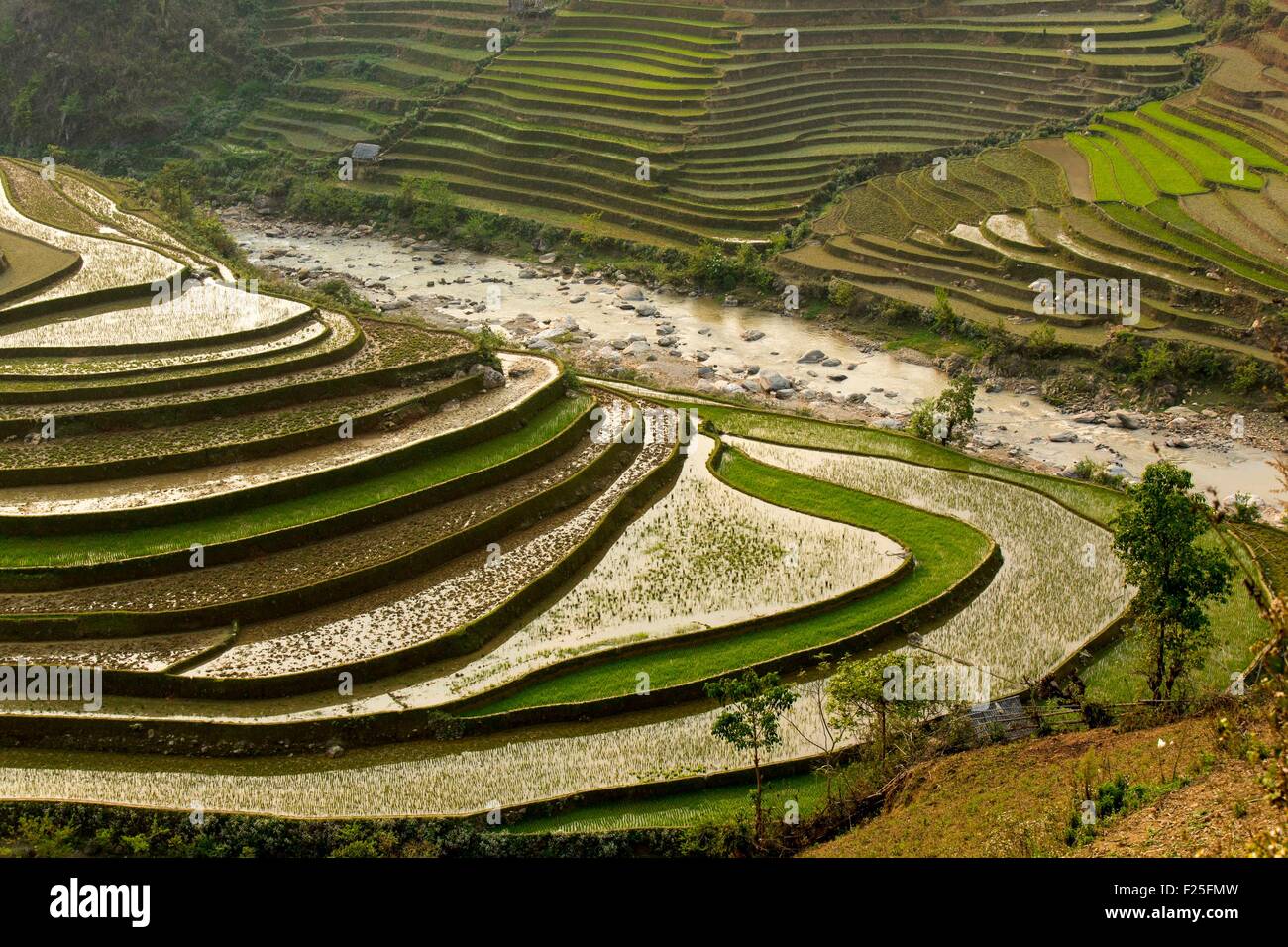 Mu cang chai rice terrace hi-res stock photography and images - Alamy