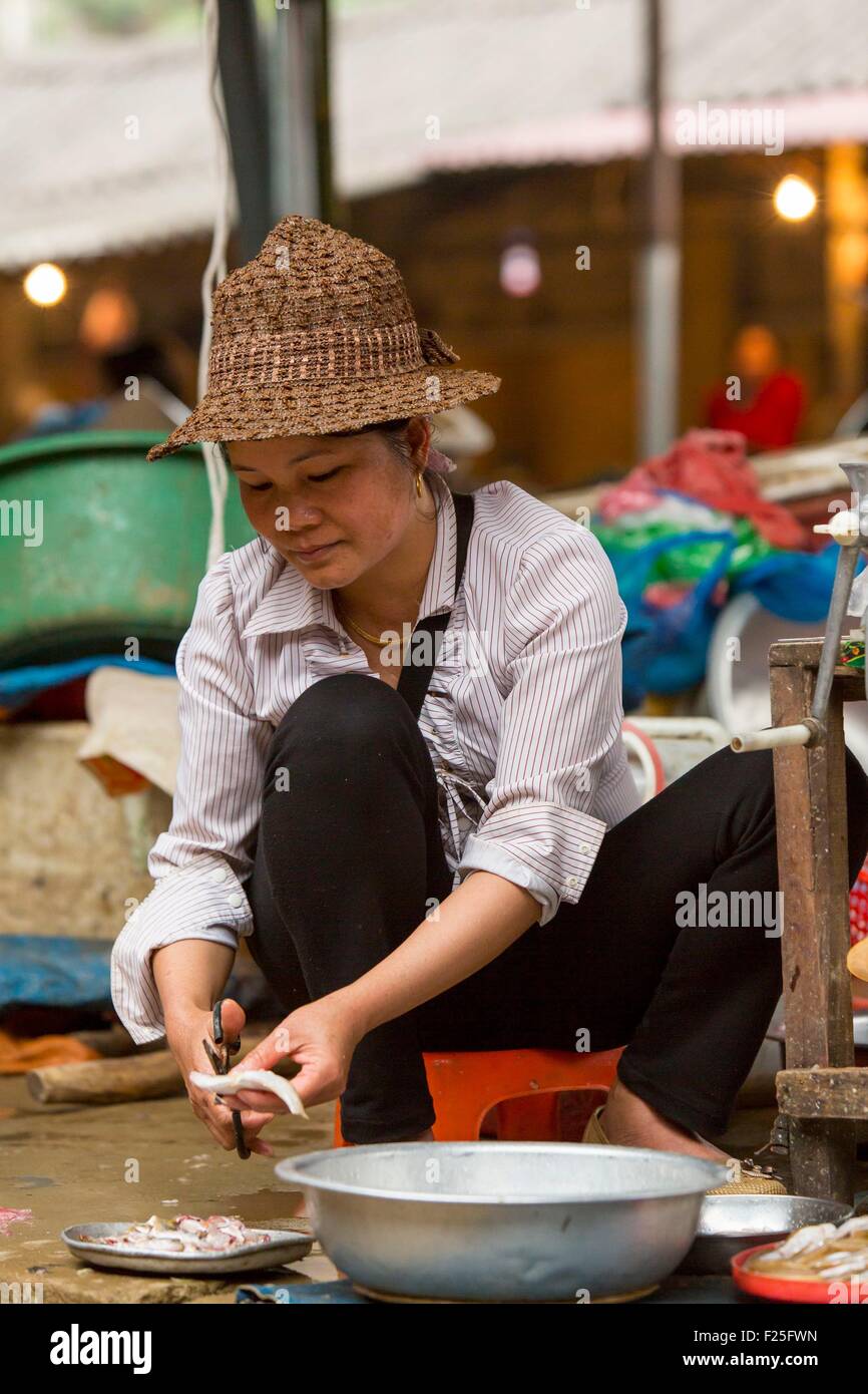 Luc yen district hi-res stock photography and images - Alamy