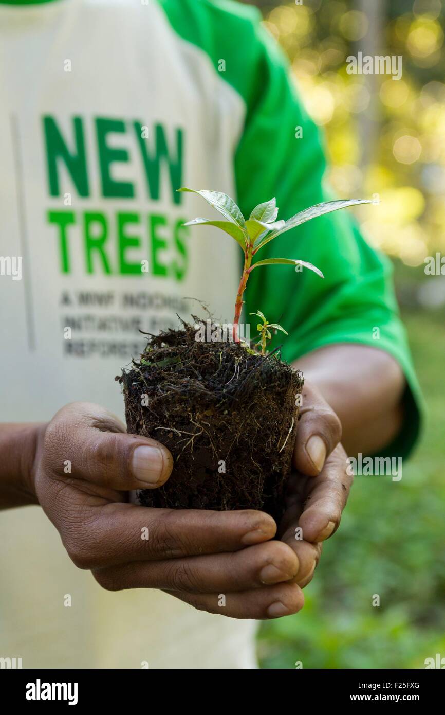 Indonesia, Sunda islands, Lombok, WWF New Trees Project, villager ...