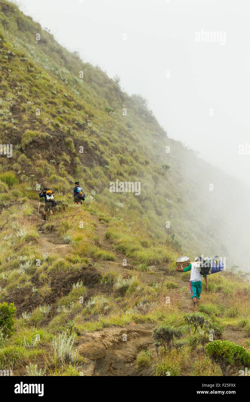 Indonesia, Sunda islands, Lombok, Gunung Rinjani National Park, hikers ...