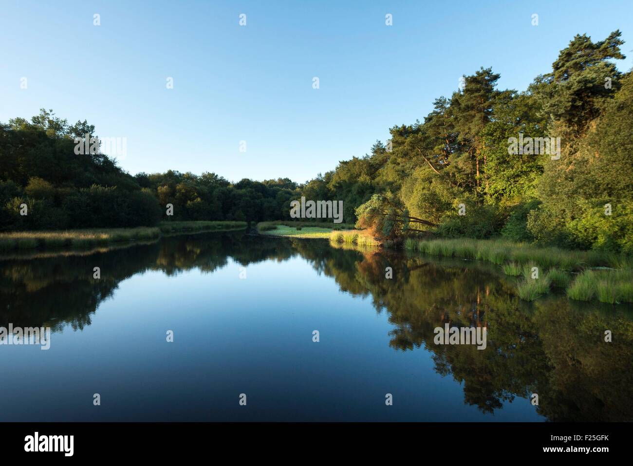 Paimpont hi-res stock photography and images - Alamy