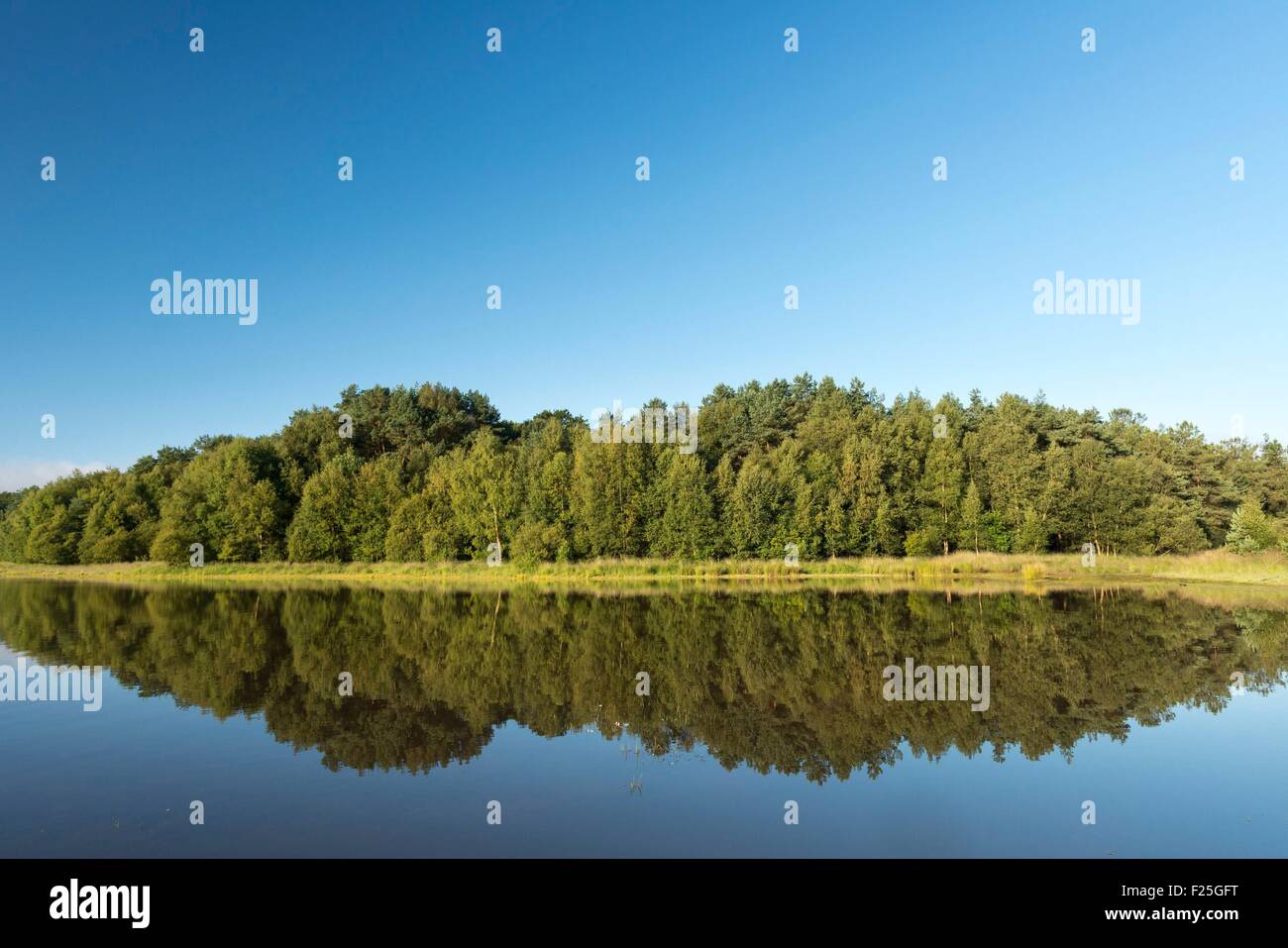 Paimpont hi-res stock photography and images - Alamy