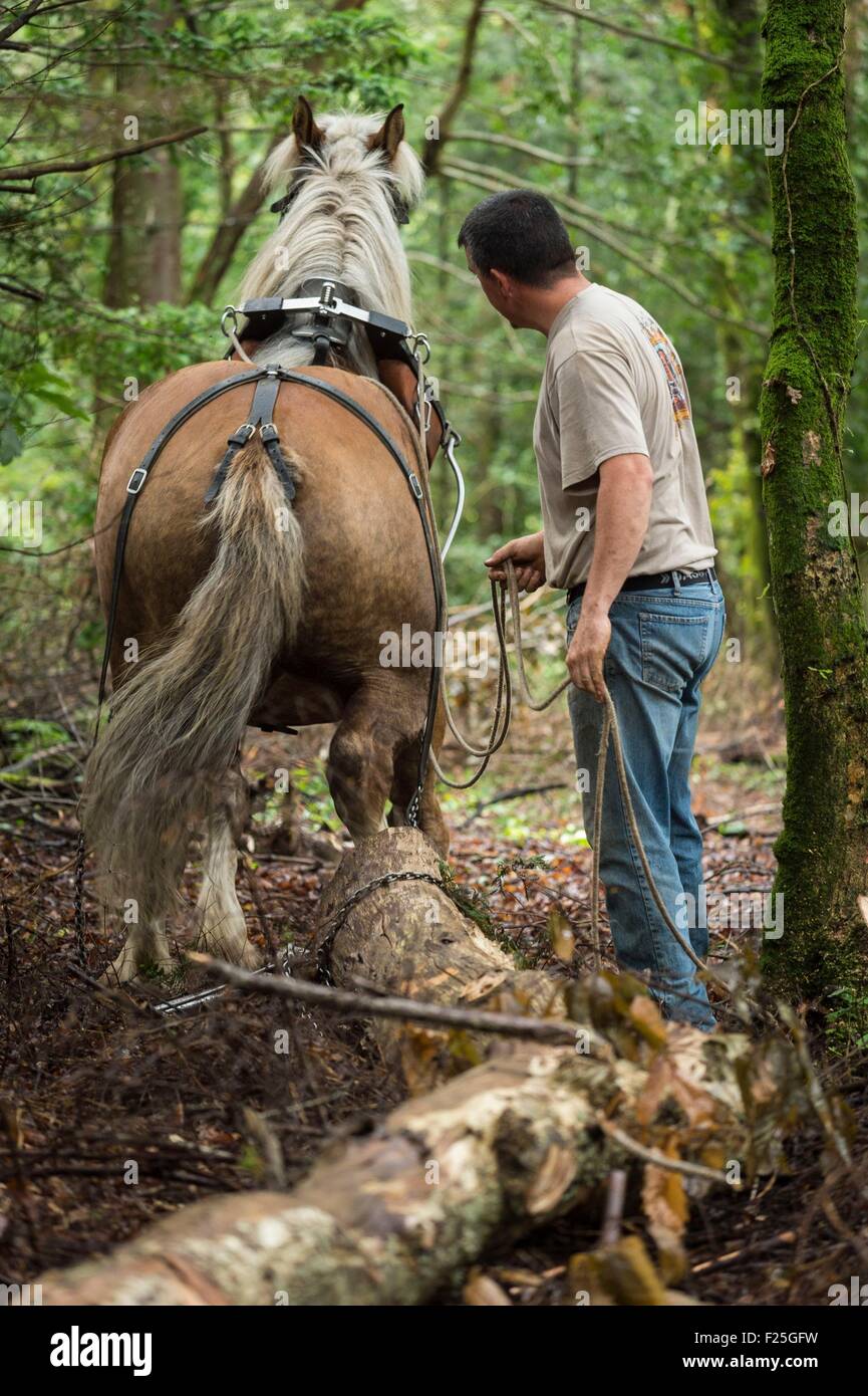 Man Hauling Stock Photos & Man Hauling Stock Images - Alamy
