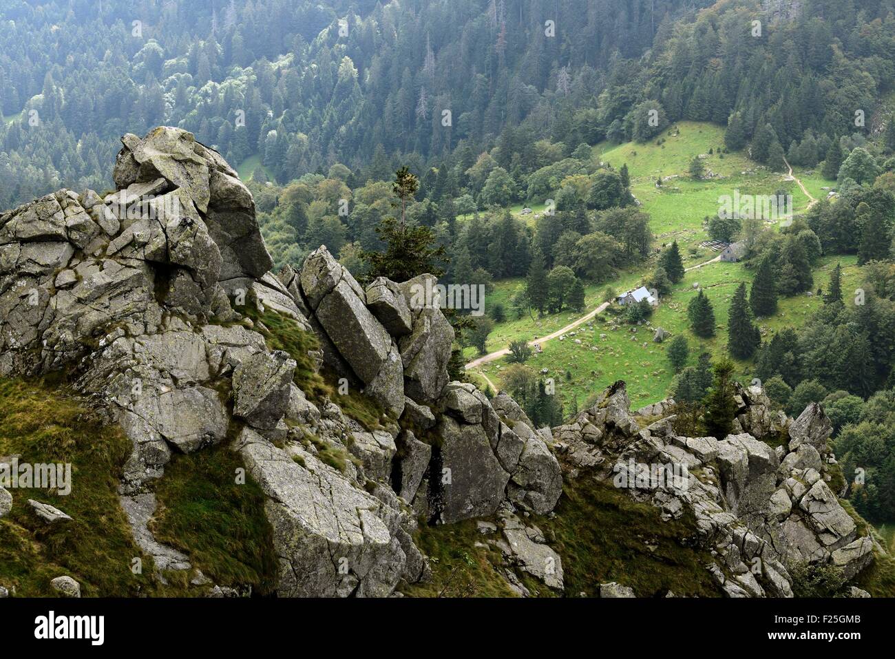 France, Haut Rhin, Hautes Vosges, Le Hohneck, Col de Falimont ...