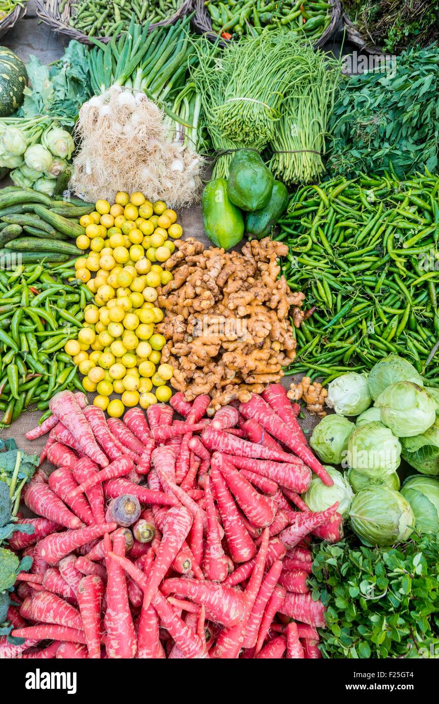 India, Uttar Pradesh state, Agra, vegetable market Stock Photo - Alamy