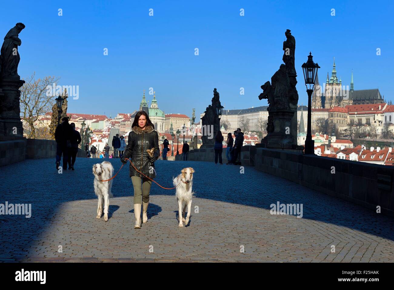 Charles Bridge Prague Dog High Resolution Stock Photography and Images ...