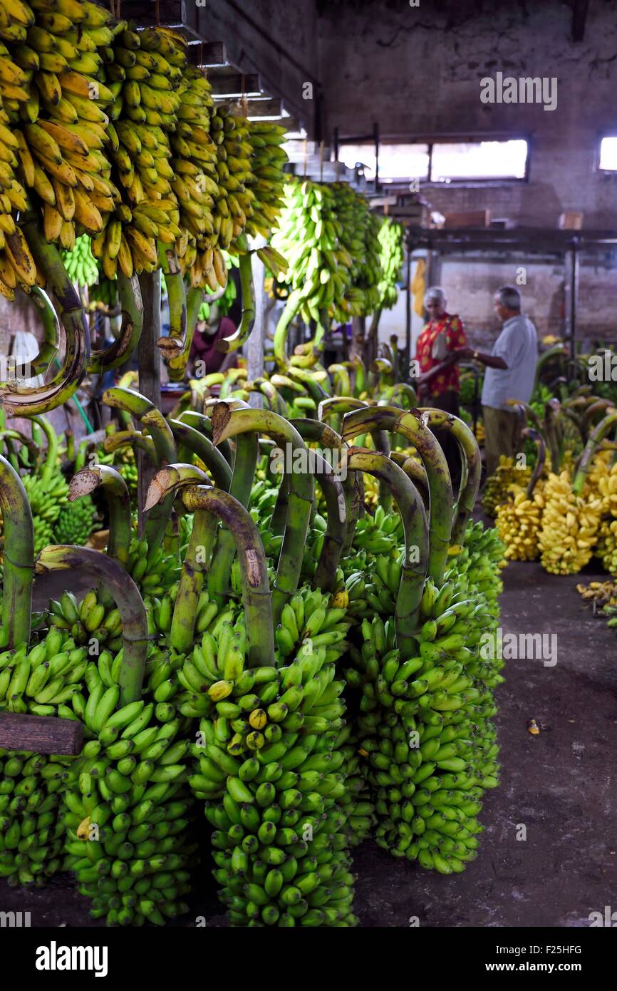 Fruit vegetable market colombo hi-res stock photography and images - Alamy
