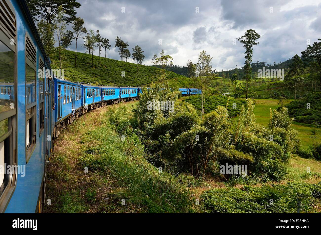 Sri Lanka, Central Province, the popular scenic train ride through the ...