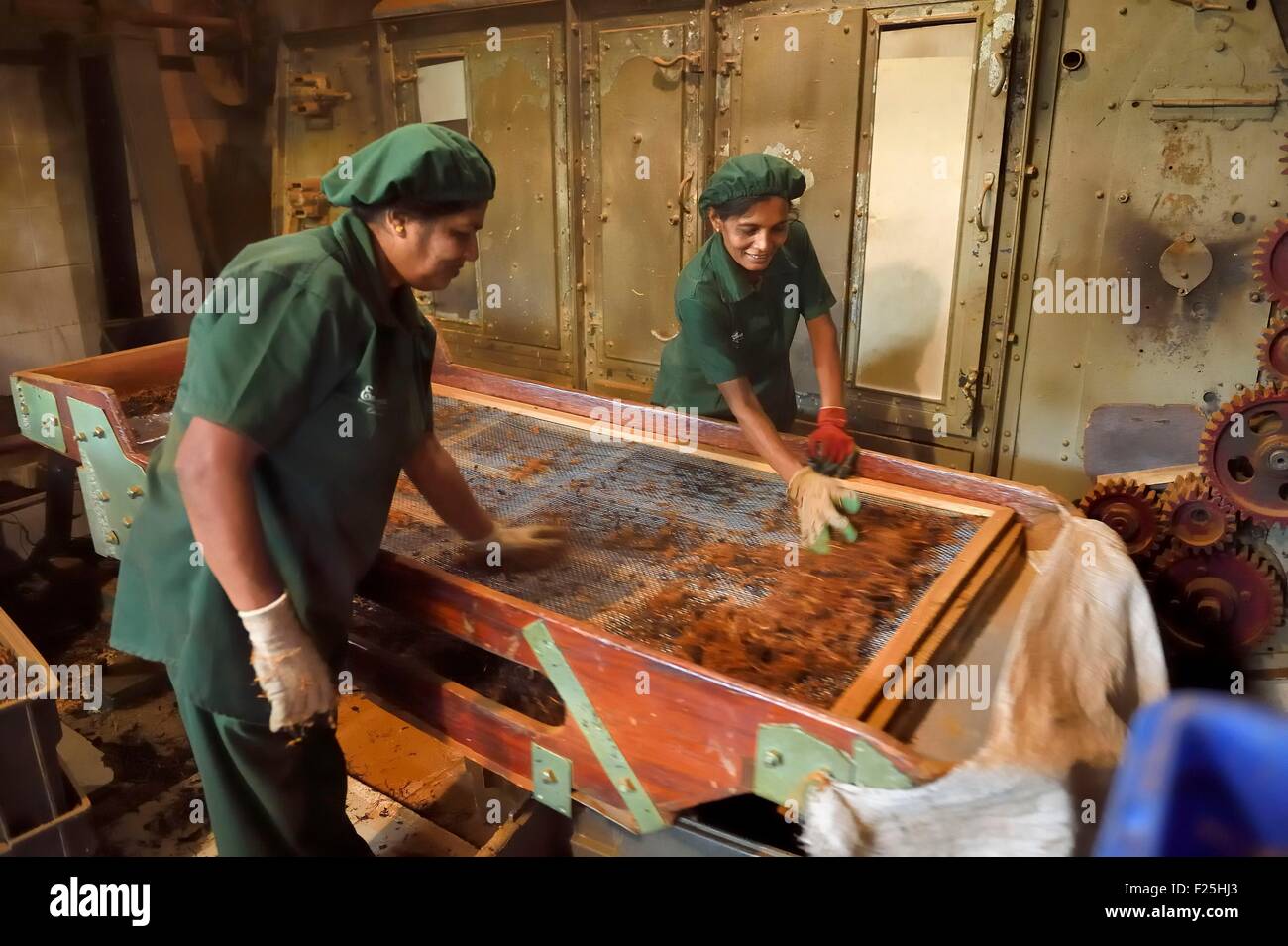 Tea sri lanka factory hi-res stock photography and images - Alamy