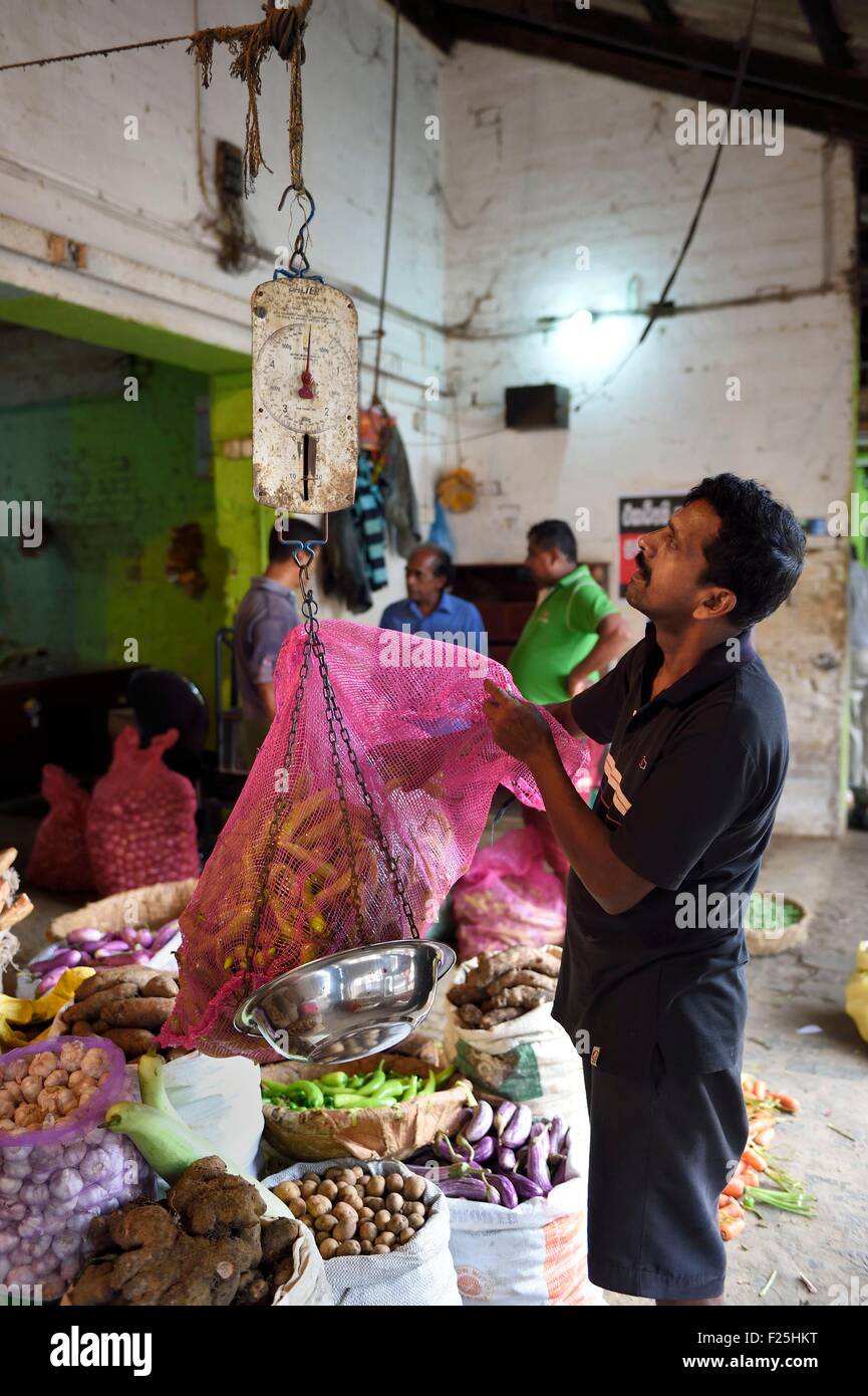 Sri Lanka, Western Province, Colombo District, Colombo, Manning fruits ...