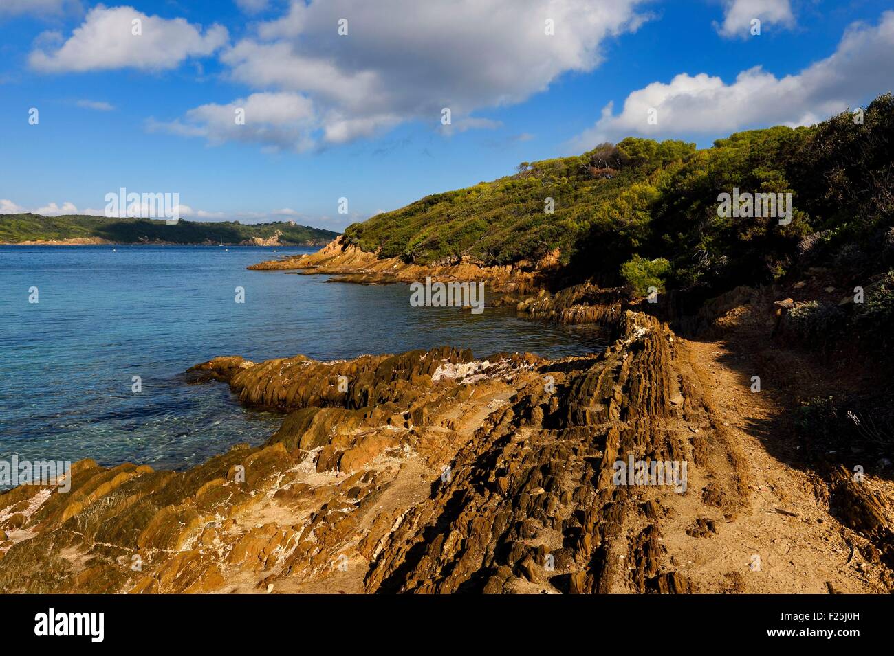 France, Var, Iles d'Hyeres, Parc National de Port Cros (National park ...