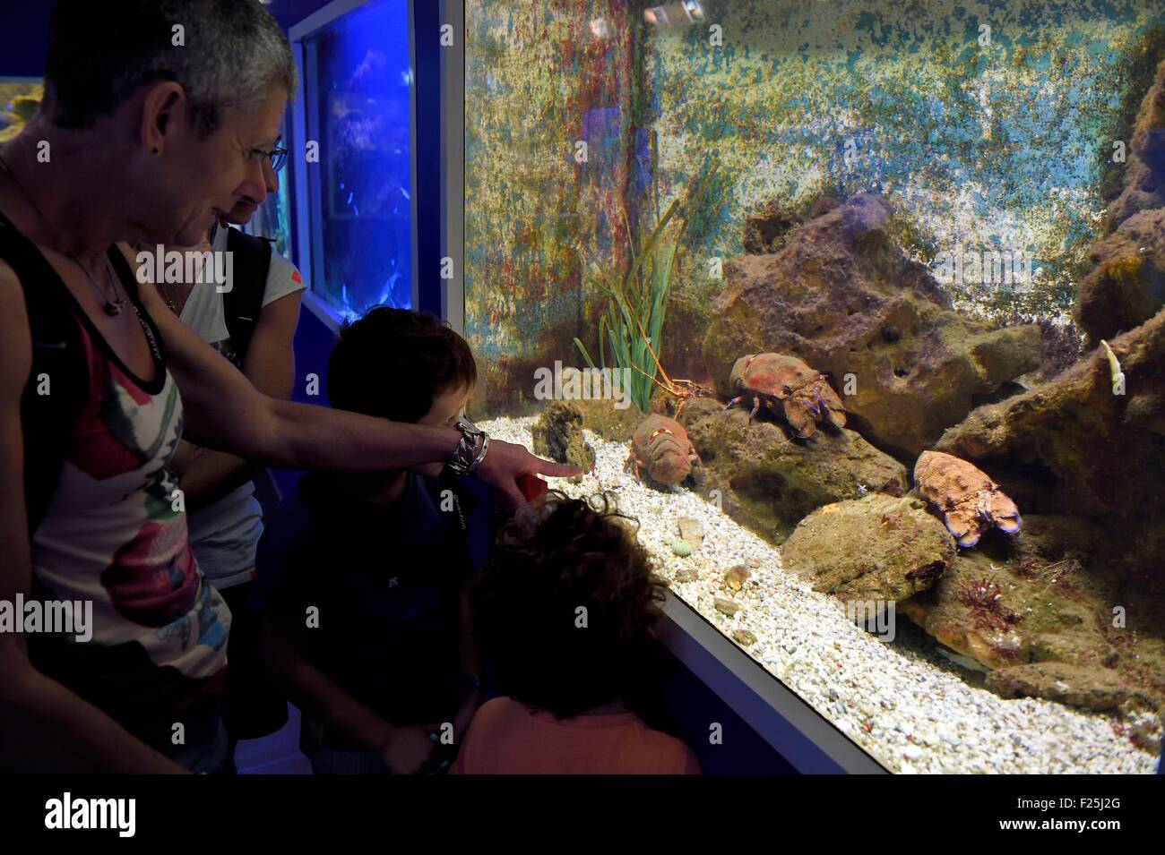 France, Var, Ile des Embiez, the Paul Ricard Oceanographic Institute in ...