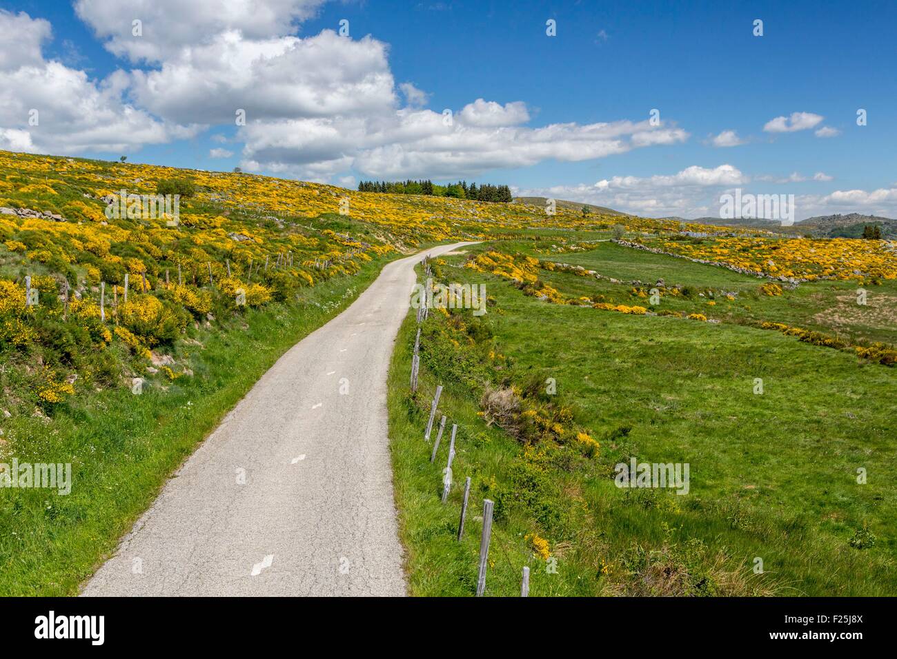 France, Lozere, the Causses and the Cevennes, Mediterranean agro ...