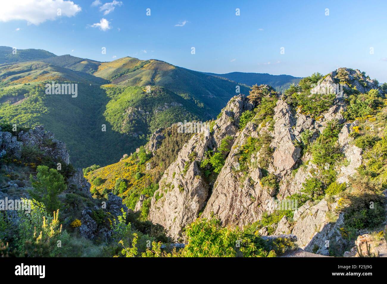 France, Gard, the Causses and the Cevennes, Mediterranean agro pastoral ...
