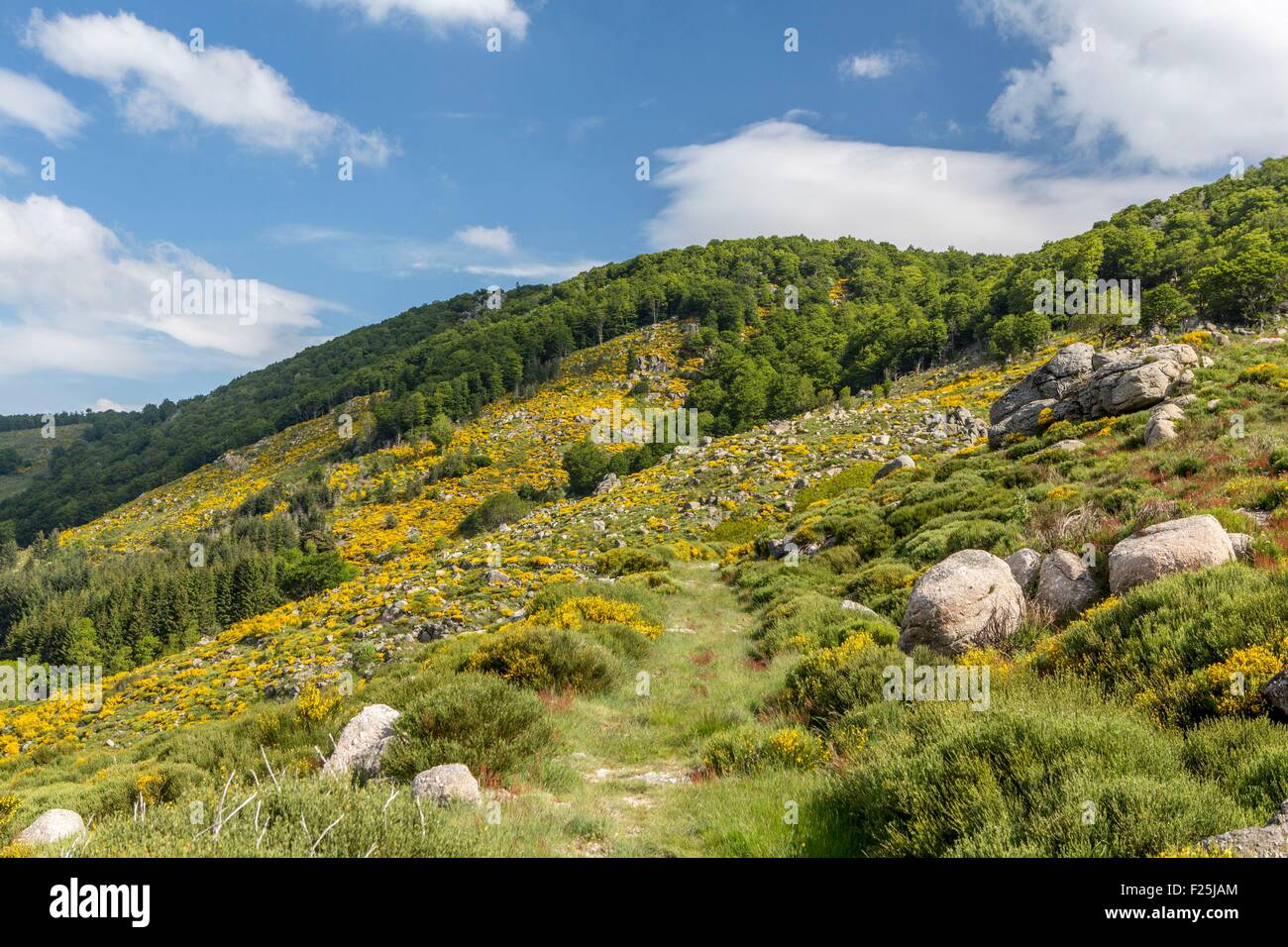 France, Gard, the Causses and the Cevennes, Mediterranean agro pastoral ...