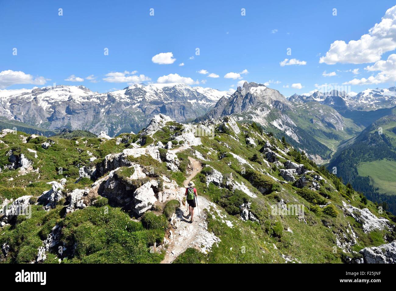 France, Savoie, Vanoise massif, Tarentaise valley, Courchevel, hiking ...