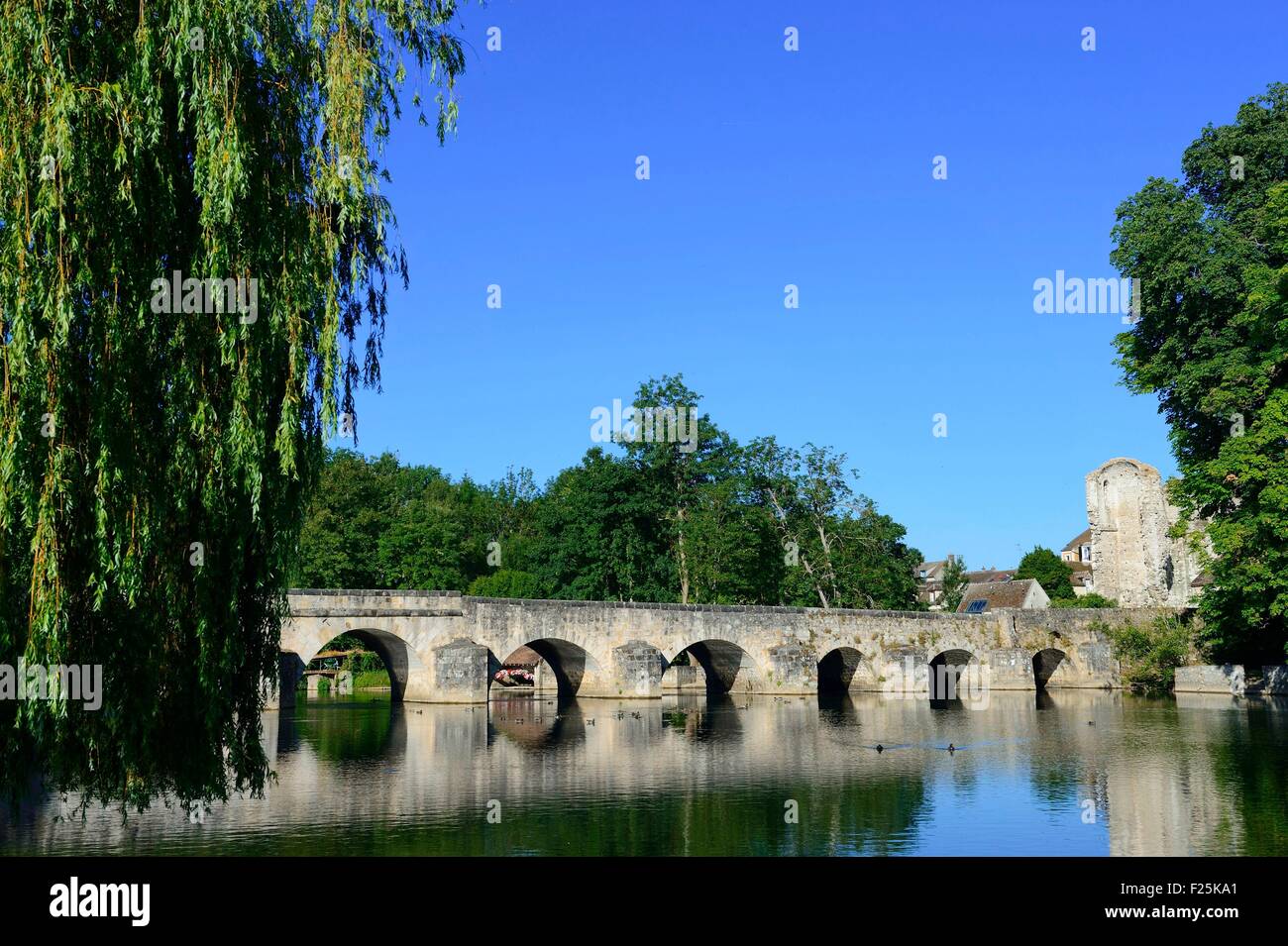 Marne river france hi-res stock photography and images - Alamy