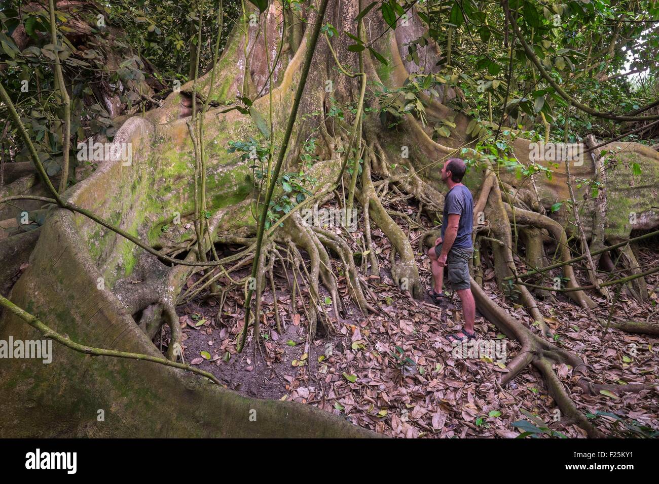 France, Martinique, Basse Pointe, hiking on the Northern Atlantic ...