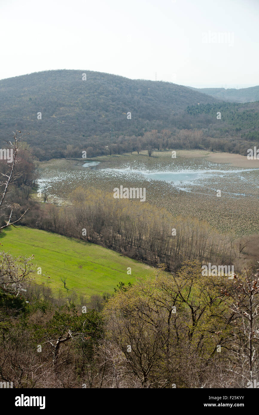 Doberdo High Resolution Stock Photography and Images - Alamy