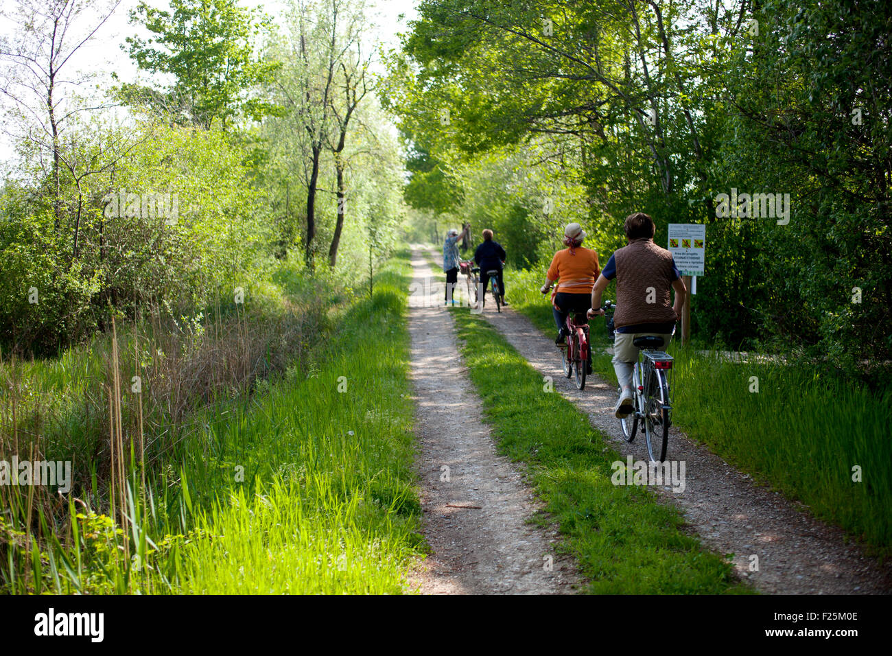 People Cycling in the park Stock Photo - Alamy