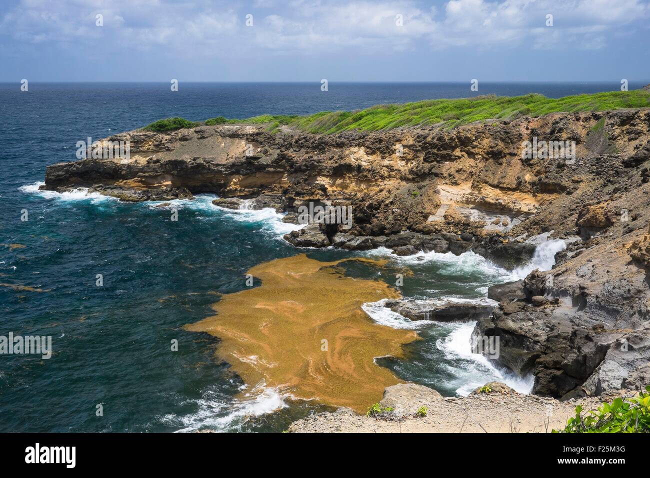 France, Martinique, Caravelle Nature Reserve, Caravelle peninsula Stock ...