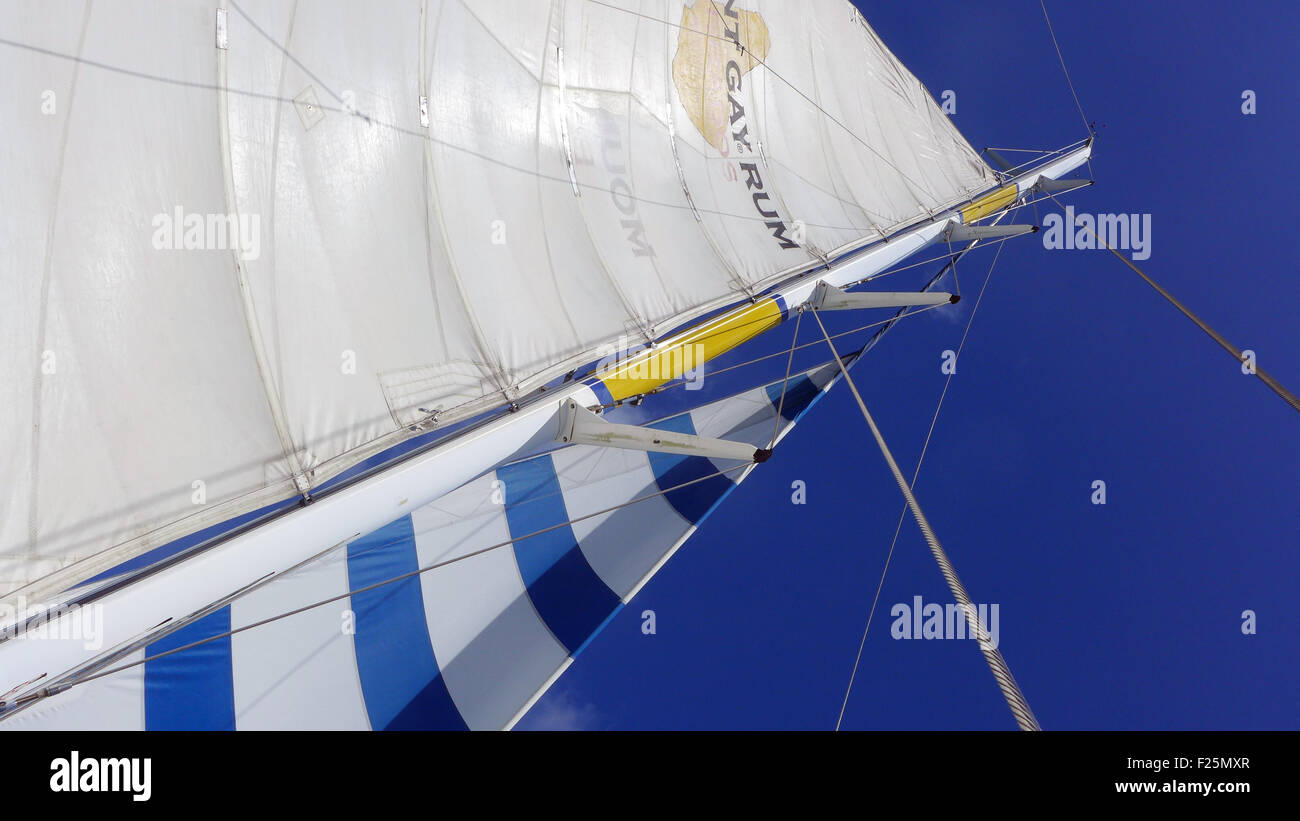 Catamaran sail in Caribbean Stock Photo - Alamy